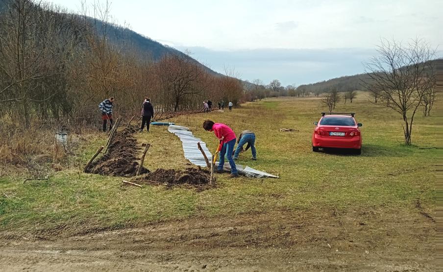 Ásó, kapa, zöld varangy | Magyar Madártani és Természetvédelmi Egyesület