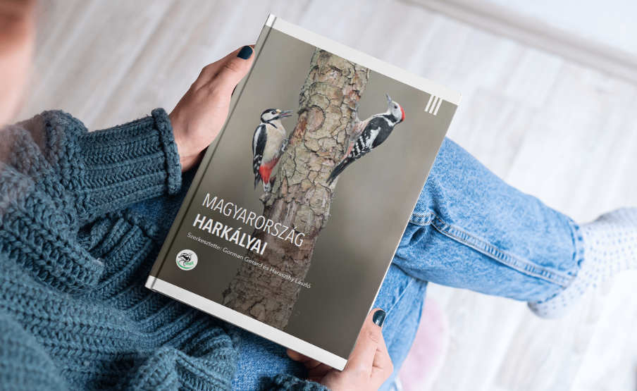 Megjelent a Magyarország harkályai című könyv! | Magyar Madártani és ...