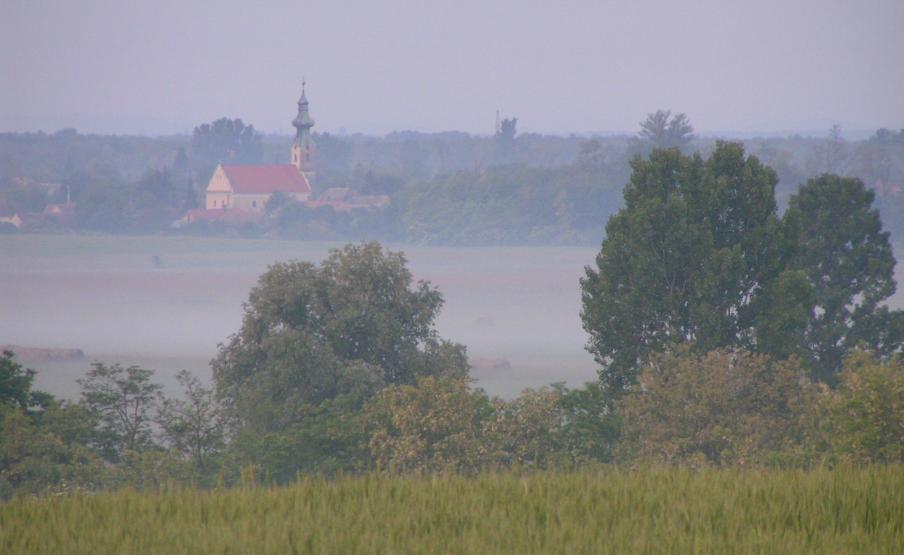 Fenntartási tervek a DINPI területén | Magyar Madártani és ...