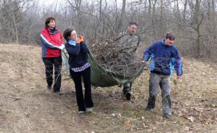 Élőhelykezelés a homoktövis újpesti élőhelyének védelméért | Magyar ...