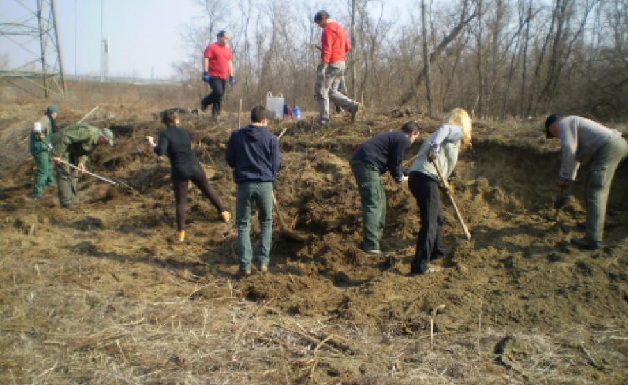 Élőhelykezelés a homoktövis újpesti élőhelyének védelméért | Magyar ...